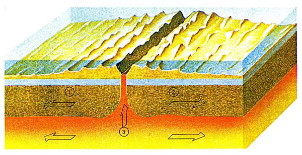 11. Dno oceánu :: Našelycko